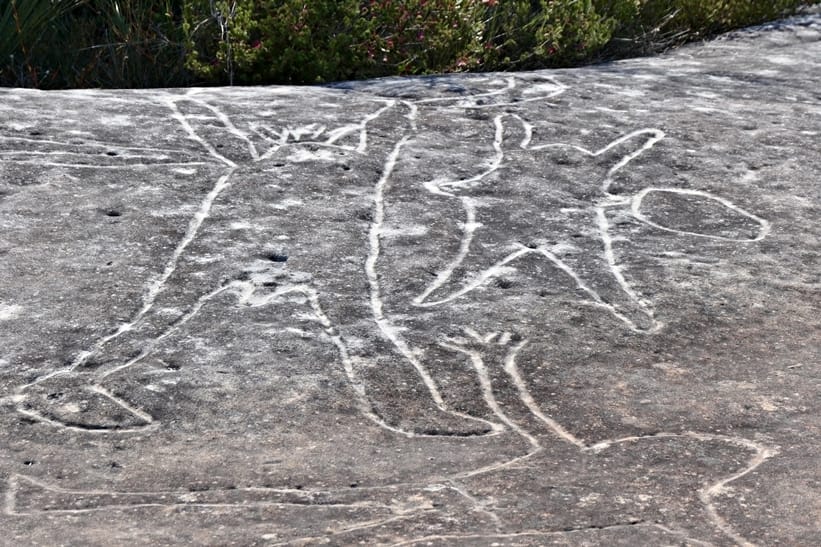 Kuringai Chase National Park Basin and Mackerel Tracks | indulgent ...