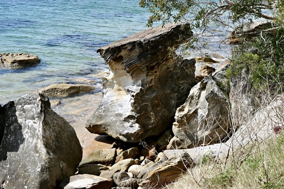 Kuringai Chase National Park Basin and Mackerel Tracks | indulgent ...